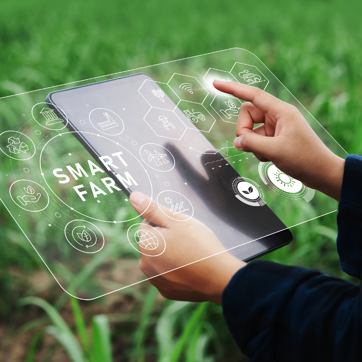 Precision Profits with Haifa Group's CRF Solutions: Boosting Yields ...