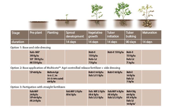 Haifa's Combined Nutritional Solutions for Pivot Irrigated Potato ...