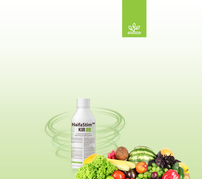 HaifaStim™ Kir | Haifa Group