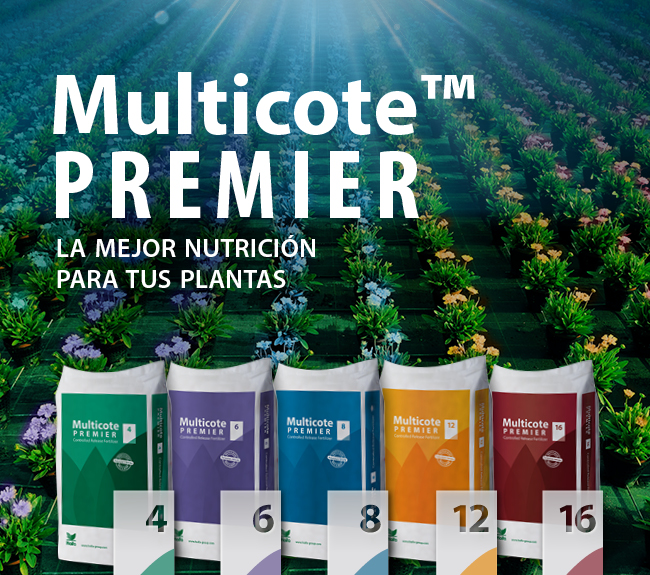 Multicote™ Premier- aportando la mejor nutrición a sus plantas | Haifa ...