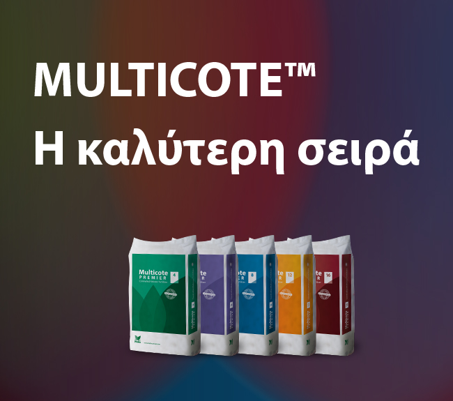 Multicote™ (4) PREMIER | Haifa Group