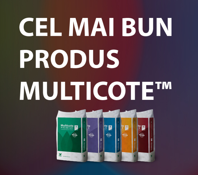 Multicote™ (4) PREMIER | Haifa Group