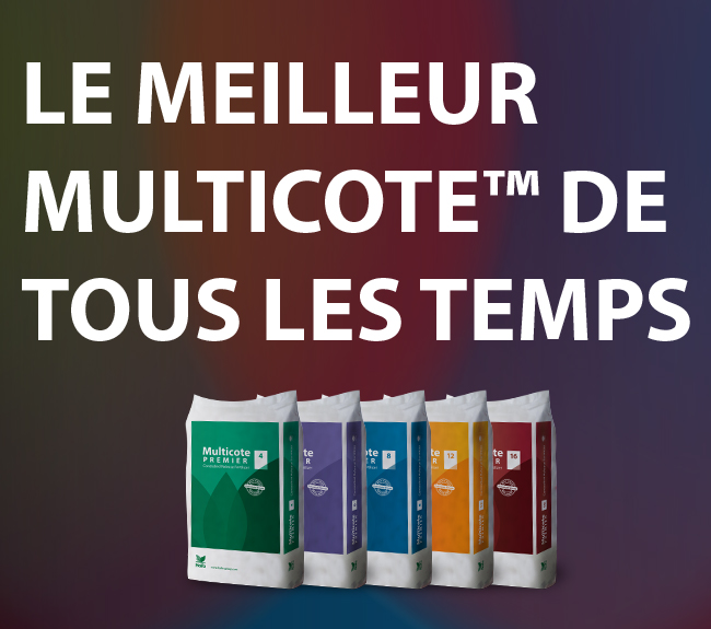 Multicote™ (4) PREMIER | Haifa Group