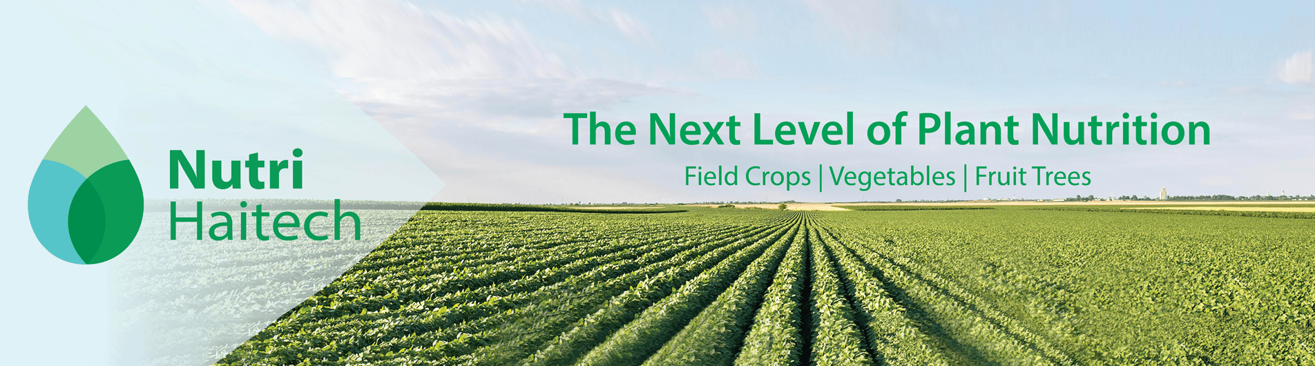 The Next Level of Plant Nutrition | Haifa Group