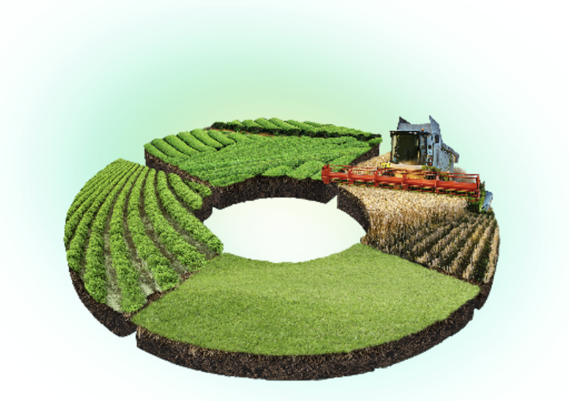 The Next Level of Plant Nutrition | Haifa Group