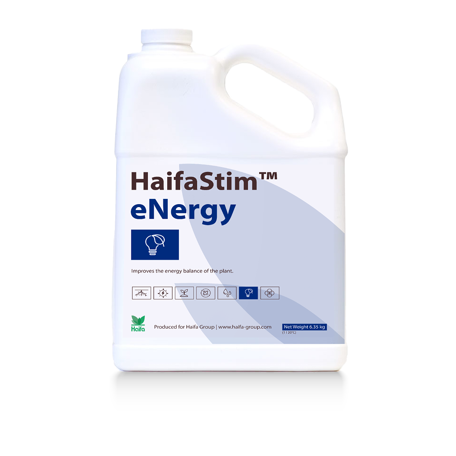 Haifa Group: Fertilizers Provider & Plant Nutrition Solutions