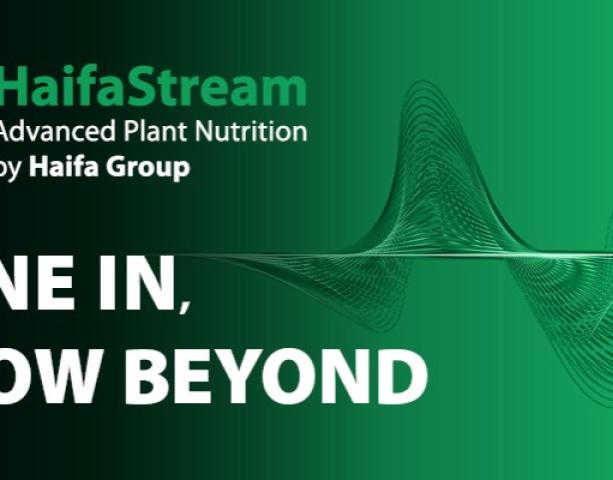 Haifa Group: Fertilizers Provider & Plant Nutrition Solutions