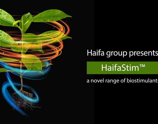 Haifa Group: Fertilizers Provider & Plant Nutrition Solutions