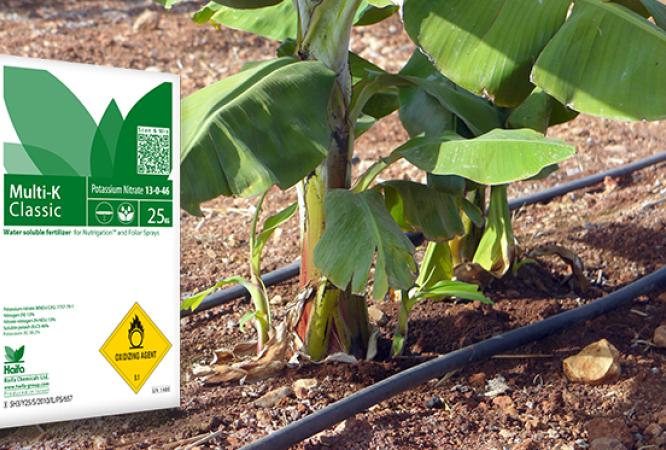 Haifa Group: Fertilizers Provider & Plant Nutrition Solutions
