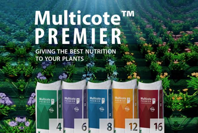 Multicote™ (12) PREMIER | Haifa Group