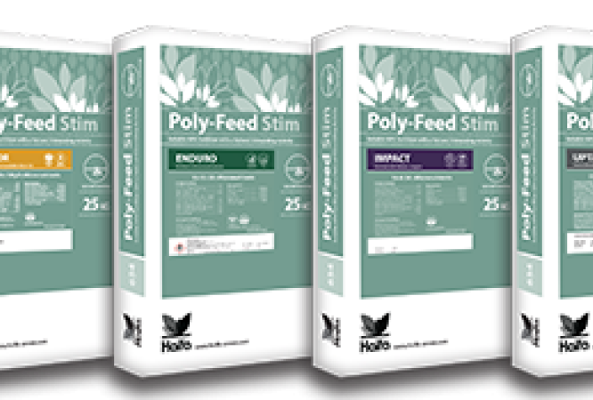 Poly-Feed™ 20-20-20+ME | Haifa Group