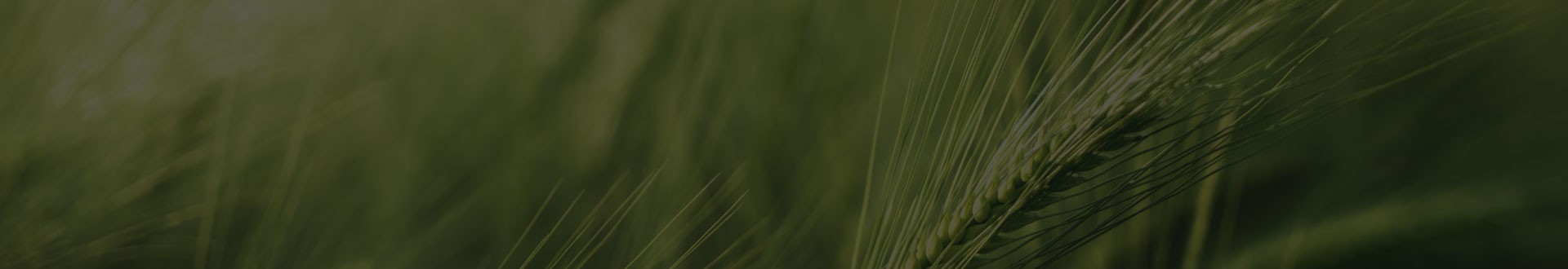 Fertilizer Distributor in Australia | Haifa Group