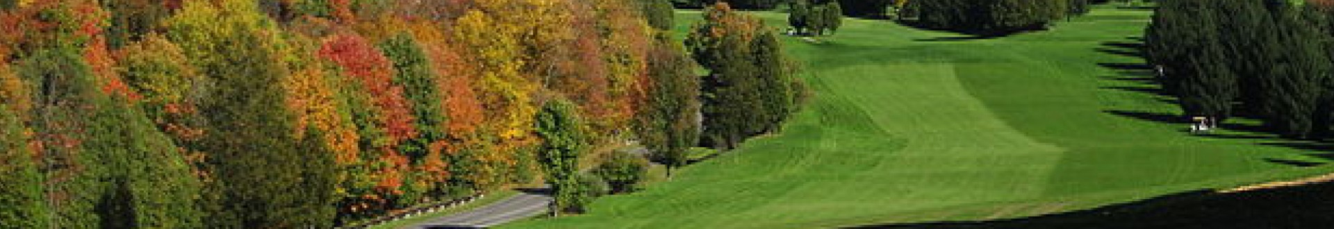 Vereen's Turf Products | Haifa Group