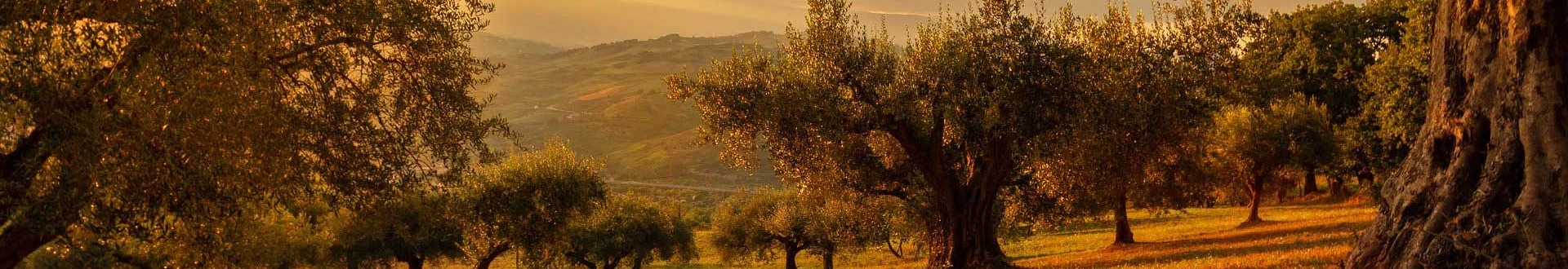 Fertilizer Distributor in Greece | Haifa Group