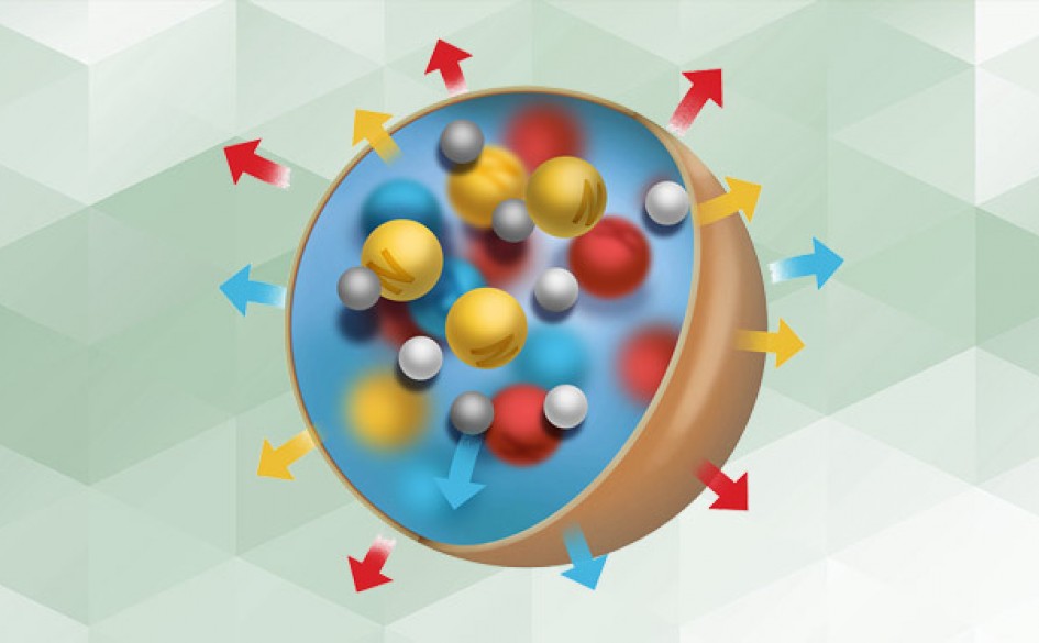 Multicote (16) 17-5-14 + Micronutrients - CRF- Haifa Group