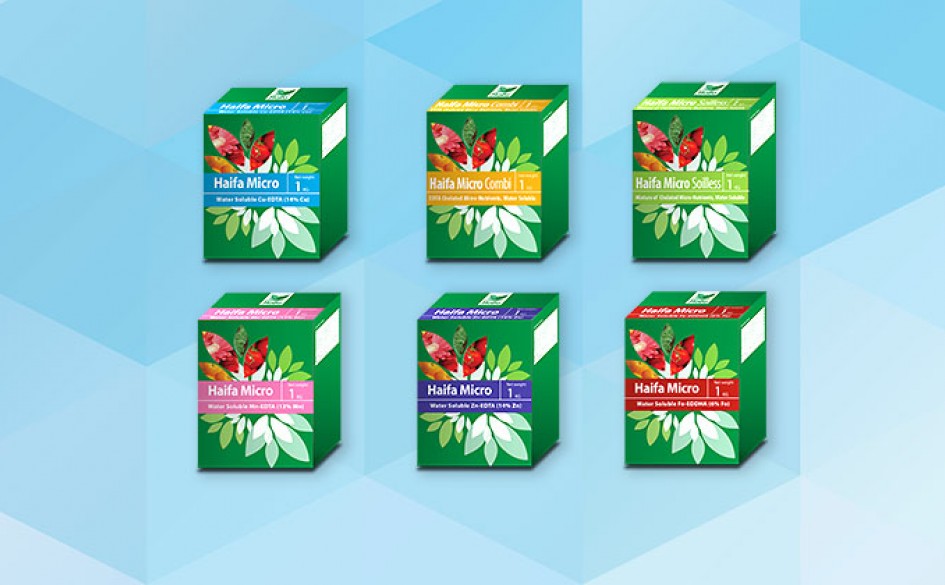 Los nutrientes de las plantas y sus funciones | Haifa Group