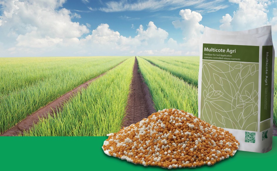 Multicote (4) 14-14-16 + Micronutrients CRF - Haifa Group