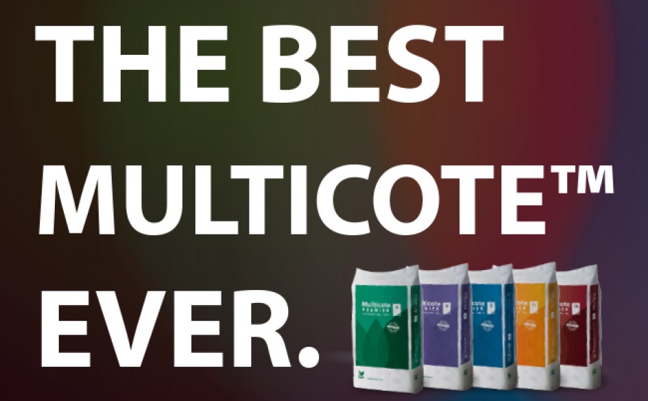 Multicote™ (12) PREMIER | Haifa Group