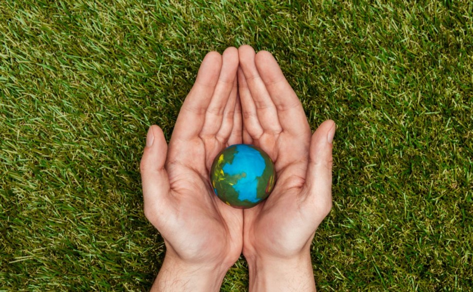 Multi-K Classic - Potassium Nitrate Fertilizer - Haifa Group