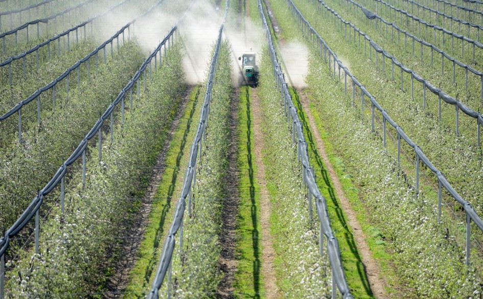 Multi-K™ Reci | Haifa Group