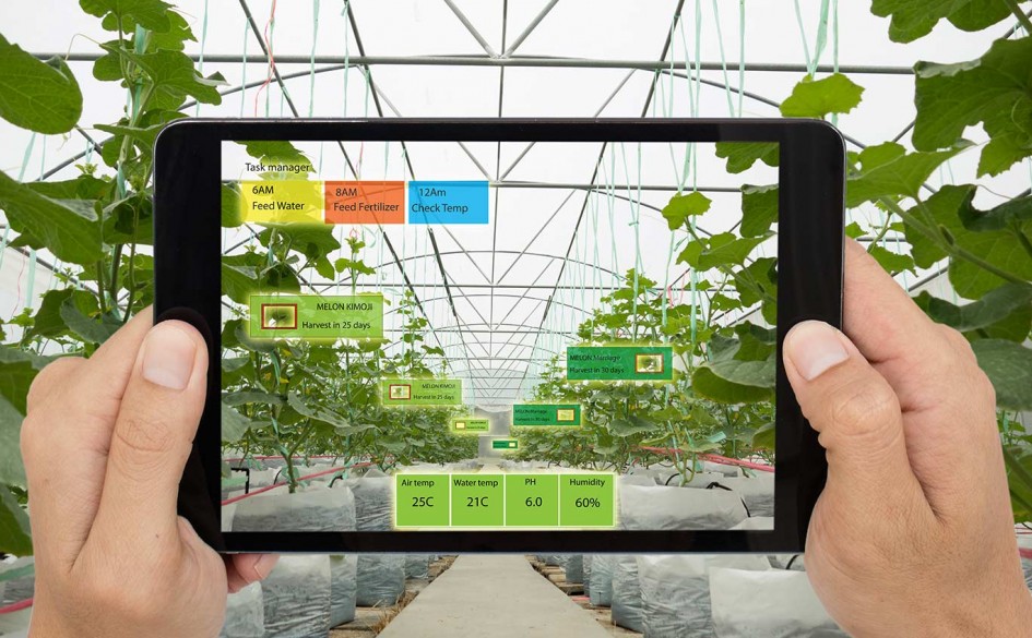 Haifa In Space | Haifa Group