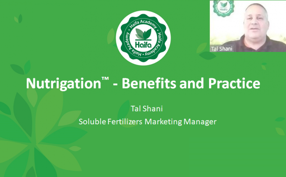 Webinar: Estrategia eficiente en la Nutrición de Cultivos | Haifa Group