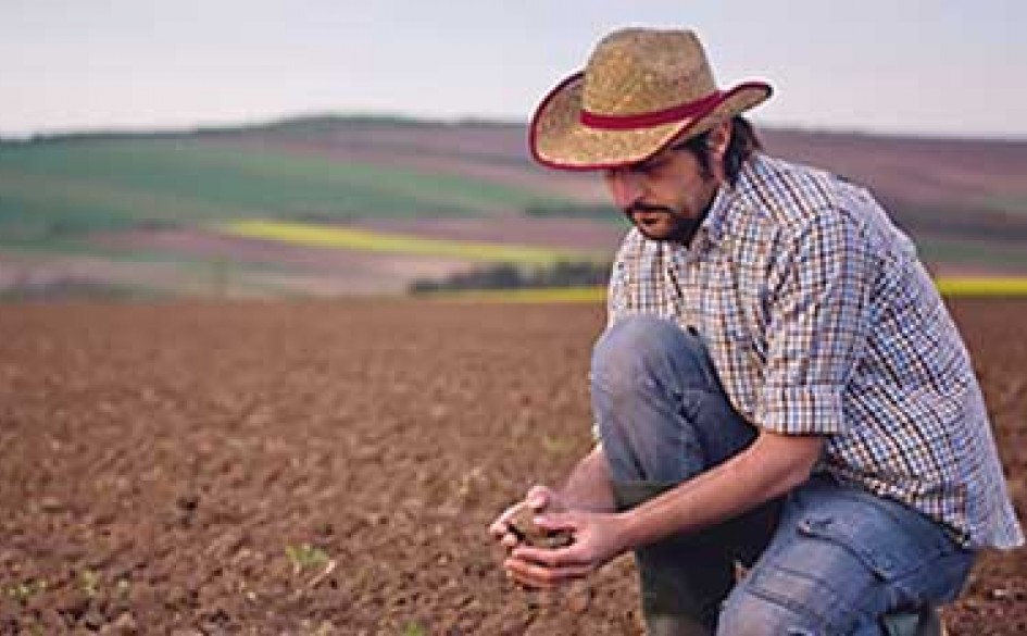 Multicote (4) 15-7-15 +2MgO + Micronutrients CRF - Haifa Group