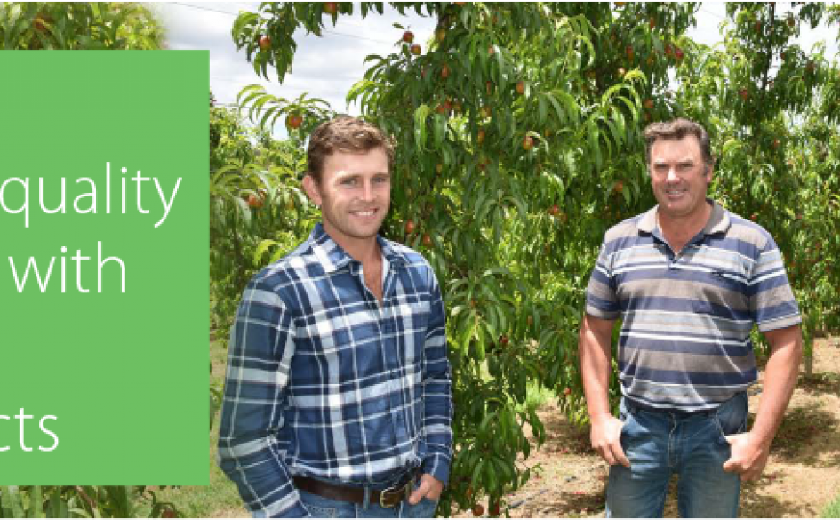 Multi-K GG - Potassium Nitrate Fertilizer - Haifa Group