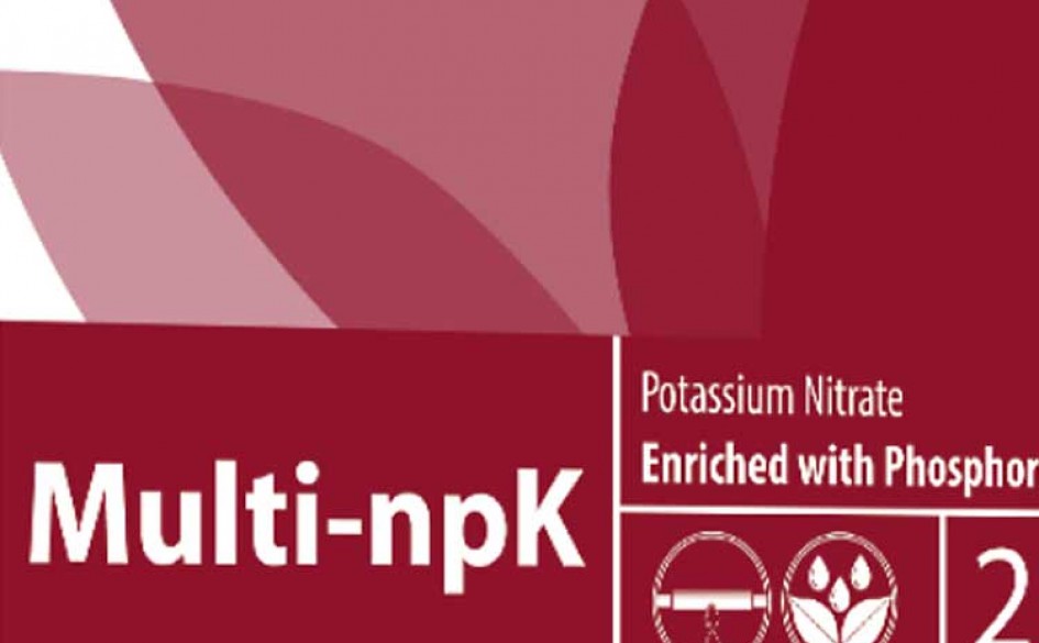 Foliar fertilization of rice | Haifa Group