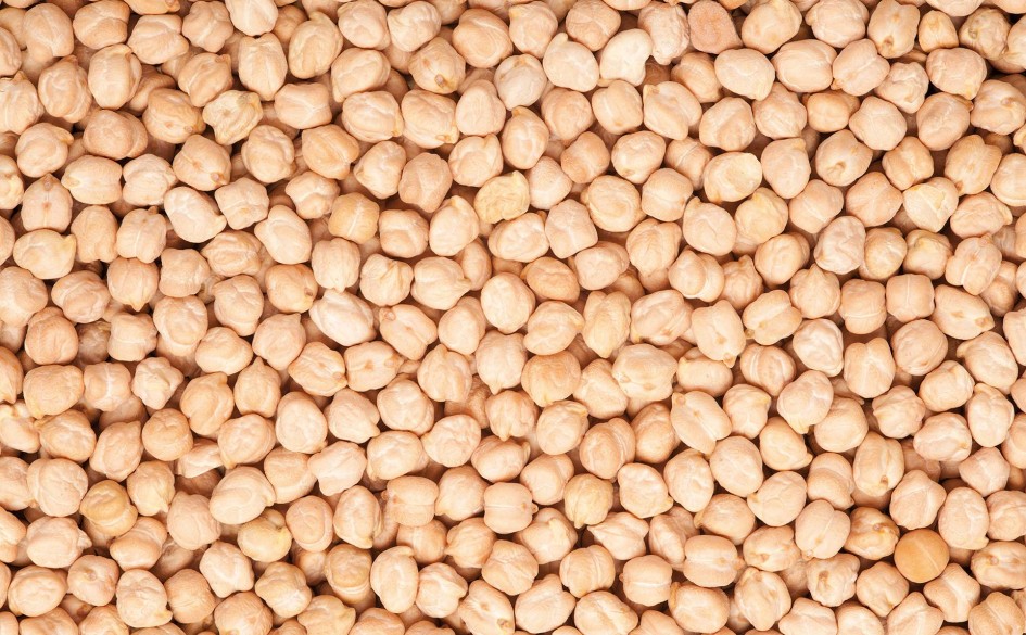 Chickpea crop requirements | Haifa Group