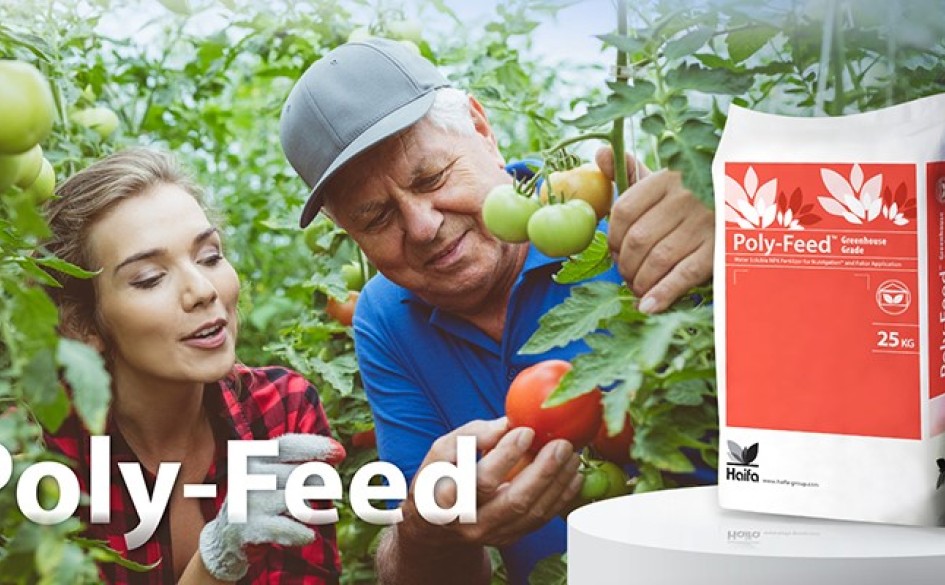 Poly-Feed GG Fertilizers 11-12-33+2MgO | Haifa Group