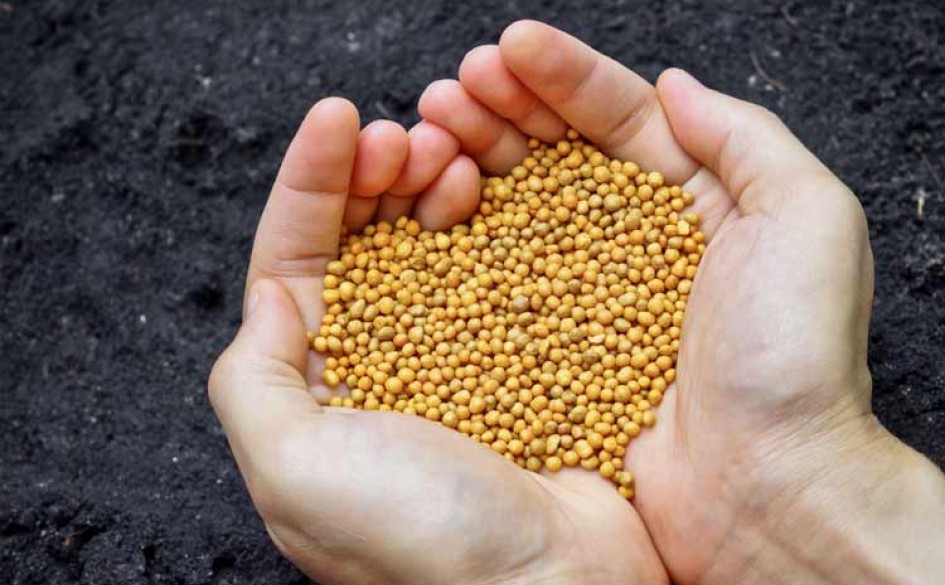 Multicote (6) 18-6-12 - CRF - Haifa Gorup