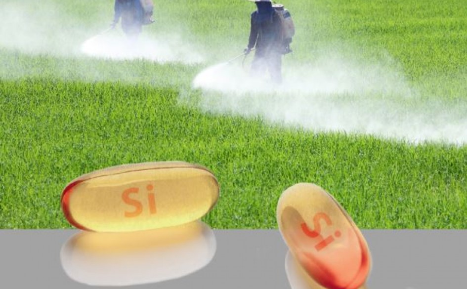 Poly-Feed Foliar Flowering Booster - Wate soluble fertilizers