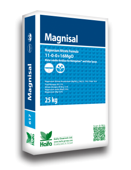 Magnisal™ - Magnesium Nitrate Fertilizer - Haifa Group
