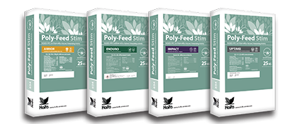 Poly-Feed™ Stim - a hybrid fertilizer | Haifa Group