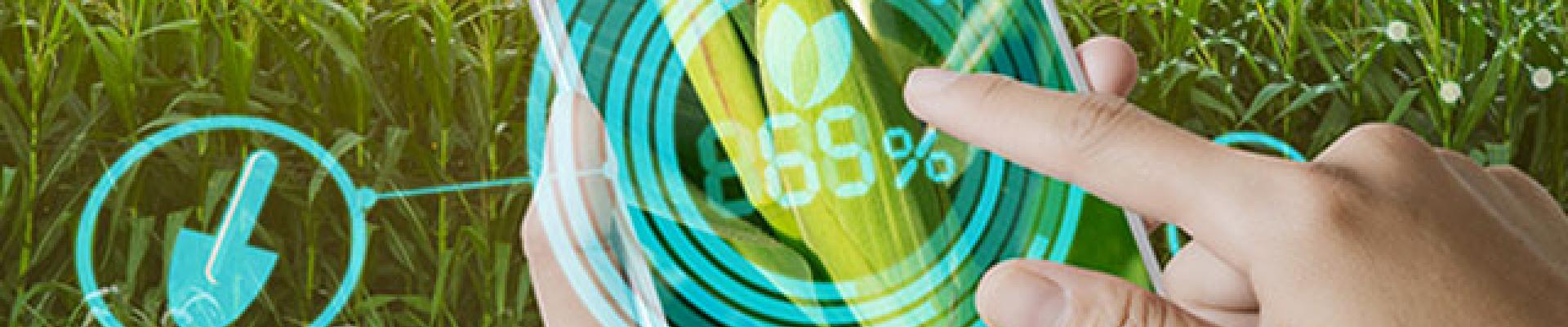 Fertilizer Calculator | Haifa Group