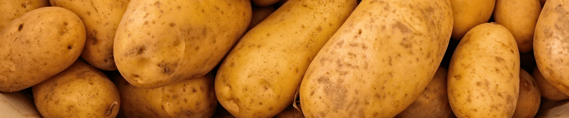 Potato Fertilizer - Haifa Group