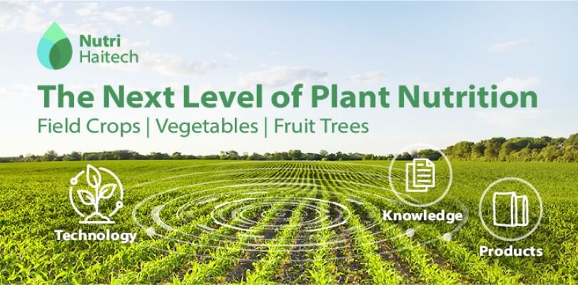 Haifa Group: Fertilizers Provider & Plant Nutrition Solutions