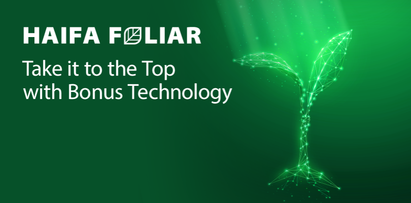 Haifa Group: Fertilizers Provider & Plant Nutrition Solutions