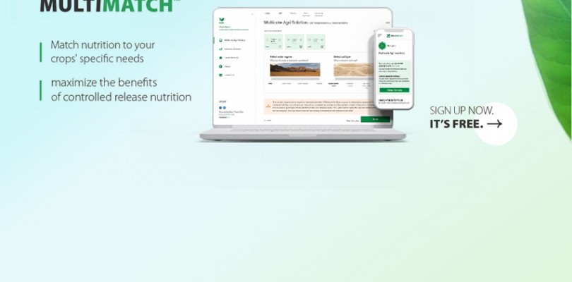 Haifa Group: Fertilizers Provider & Plant Nutrition Solutions