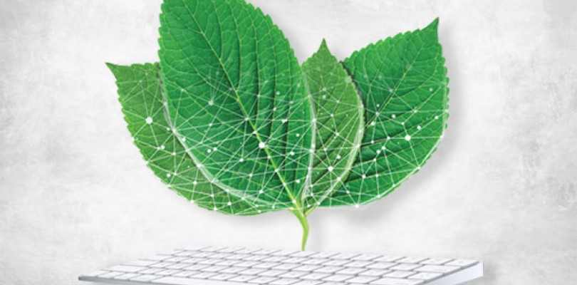 Haifa Group: Fertilizers Provider & Plant Nutrition Solutions