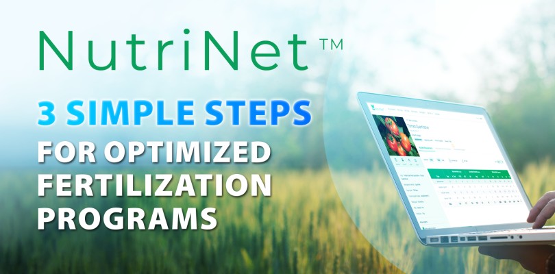 Haifa Group: Fertilizers Provider & Plant Nutrition Solutions