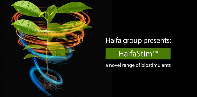 Haifa Group: Fertilizers Provider & Plant Nutrition Solutions