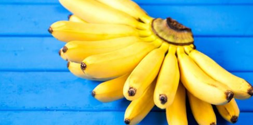 Haifa Group: Fertilizers Provider & Plant Nutrition Solutions