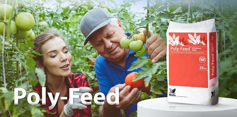 Haifa Group: Fertilizers Provider & Plant Nutrition Solutions