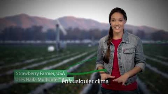 Acerca de nosotros | Haifa Group