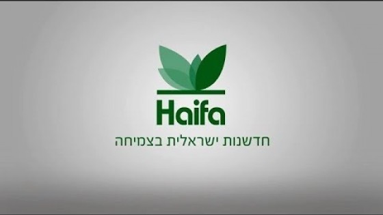 About Us | Haifa Group